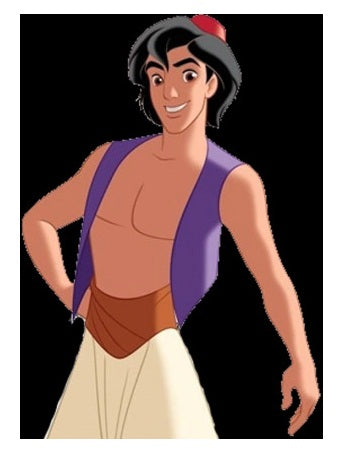 Aladdin Purple Vest